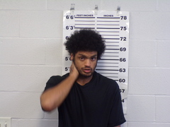 Inmate Roster - Current Inmates Booking Date Descending - Harrison ...